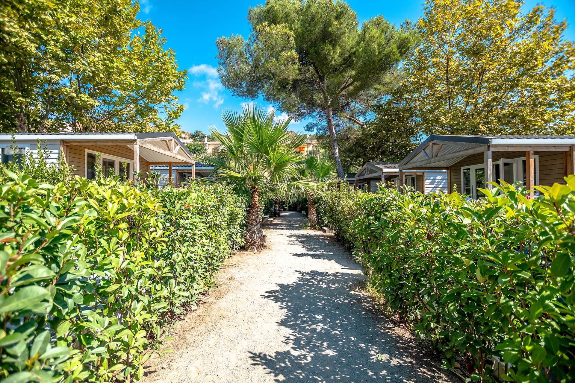 Les réservations 2024 sont ouvertes au Camping d'Azur Rivage